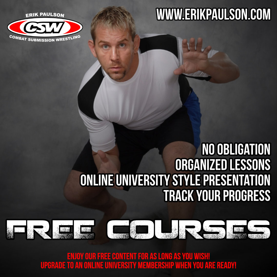 CSW ASSOCIATION – Erik Paulson's CSW Professional Coach Association ...