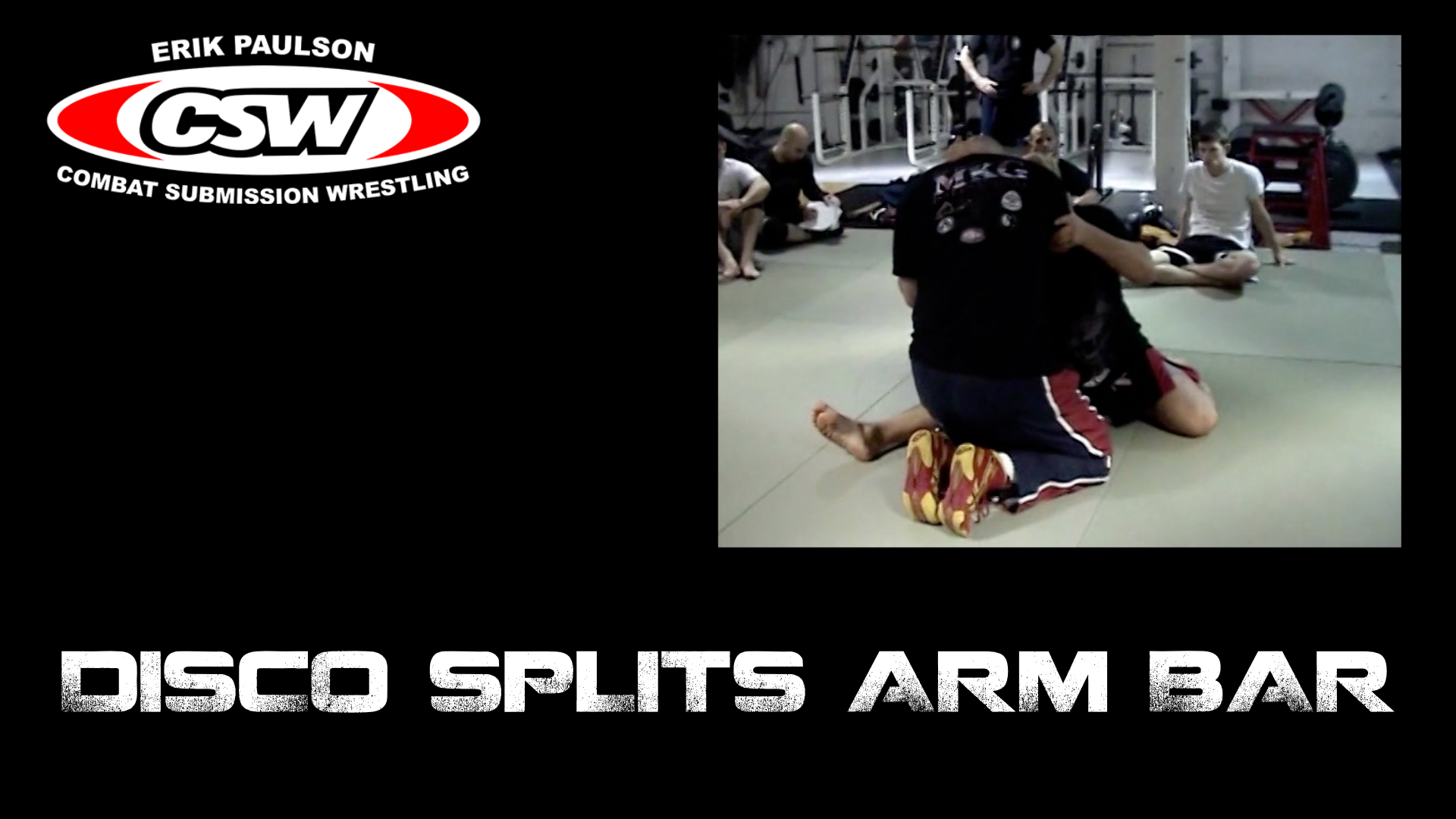 CSW ASSOCIATION – Erik Paulson's CSW Professional Coach Association ...