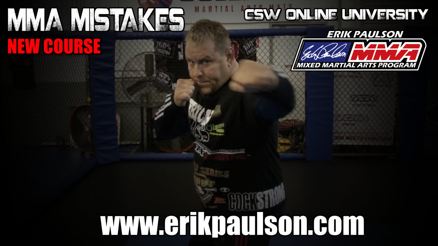 CSW ASSOCIATION – Erik Paulson's CSW Professional Coach Association ...
