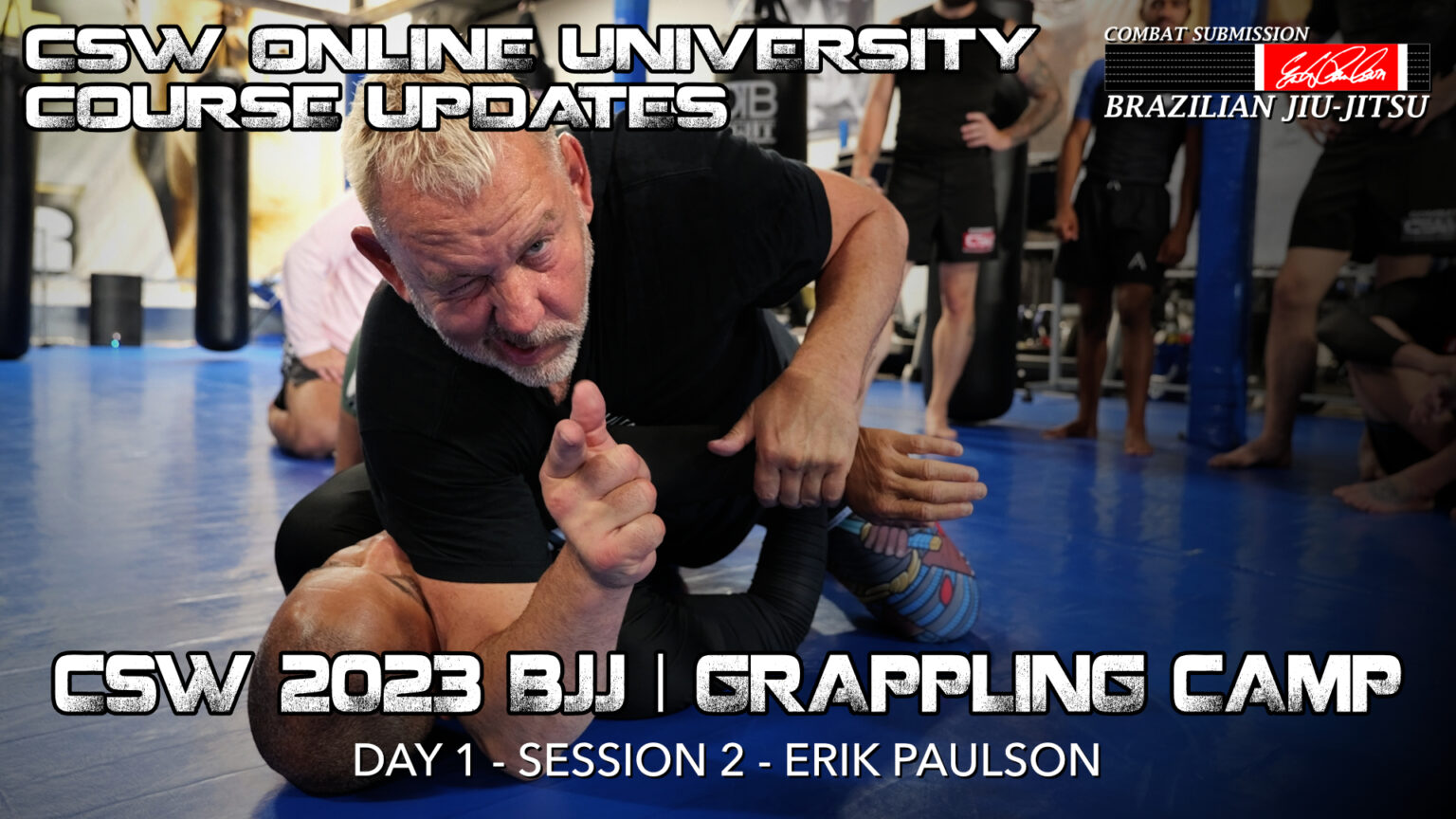 CSW ASSOCIATION – Erik Paulson's CSW Professional Coach Association & Online Training