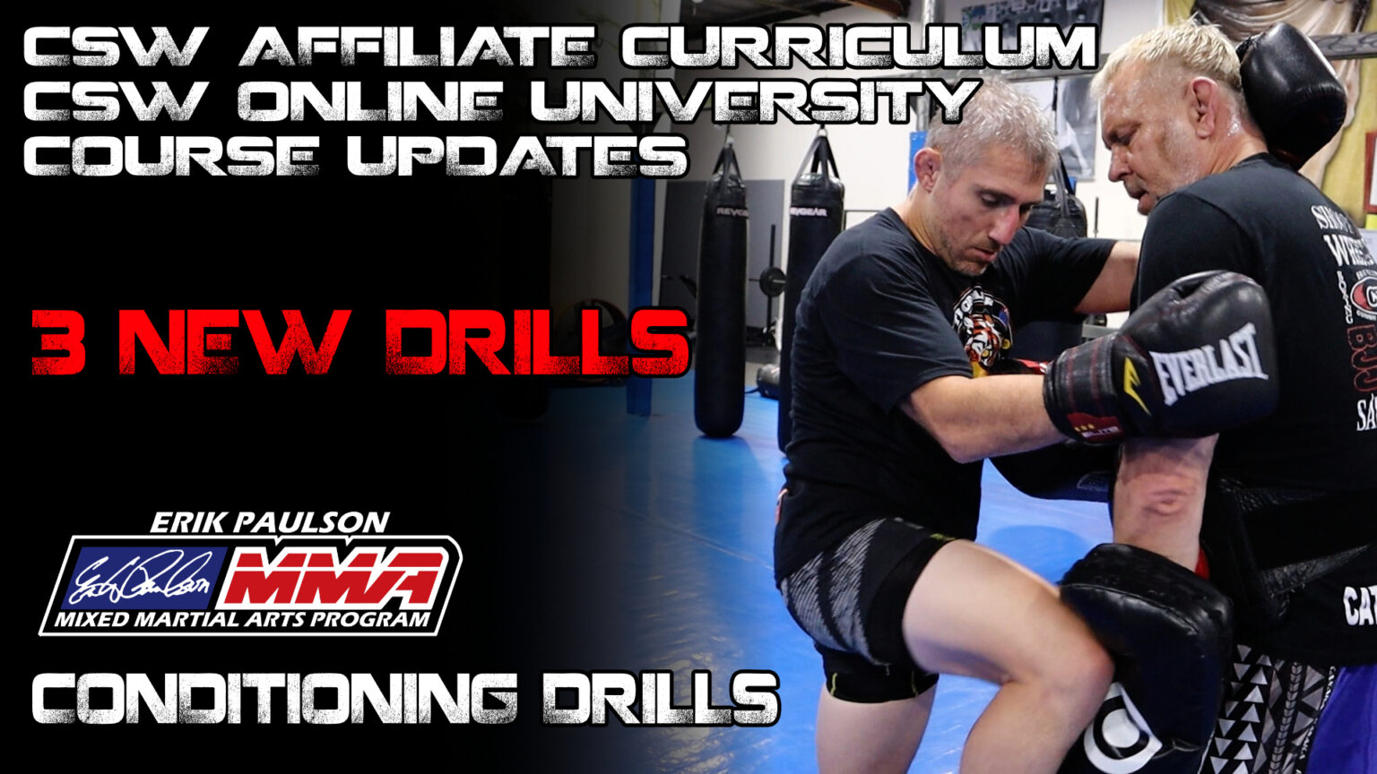 CSW ASSOCIATION – Erik Paulson's CSW Professional Coach Association ...