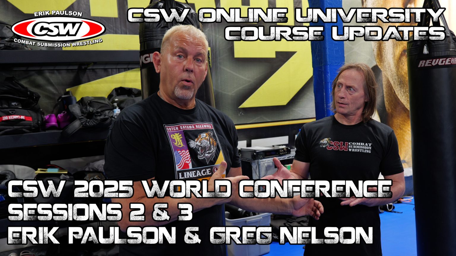 CSW ASSOCIATION – Erik Paulson's CSW Professional Coach Association ...
